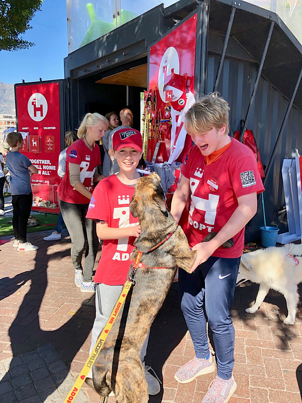 Erfolgsgeschichte von Oscars Arc in Kapstadt - Badepraline on Tour